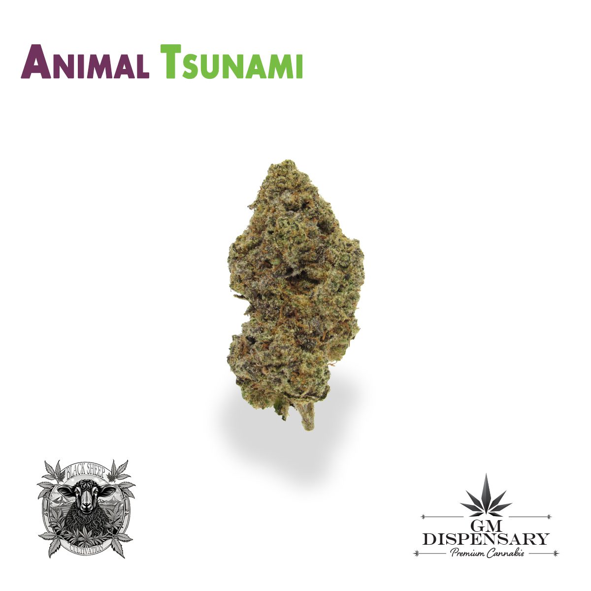 Animal Tsunami by Black Sheep Cultivation | Green Mart Beaverton