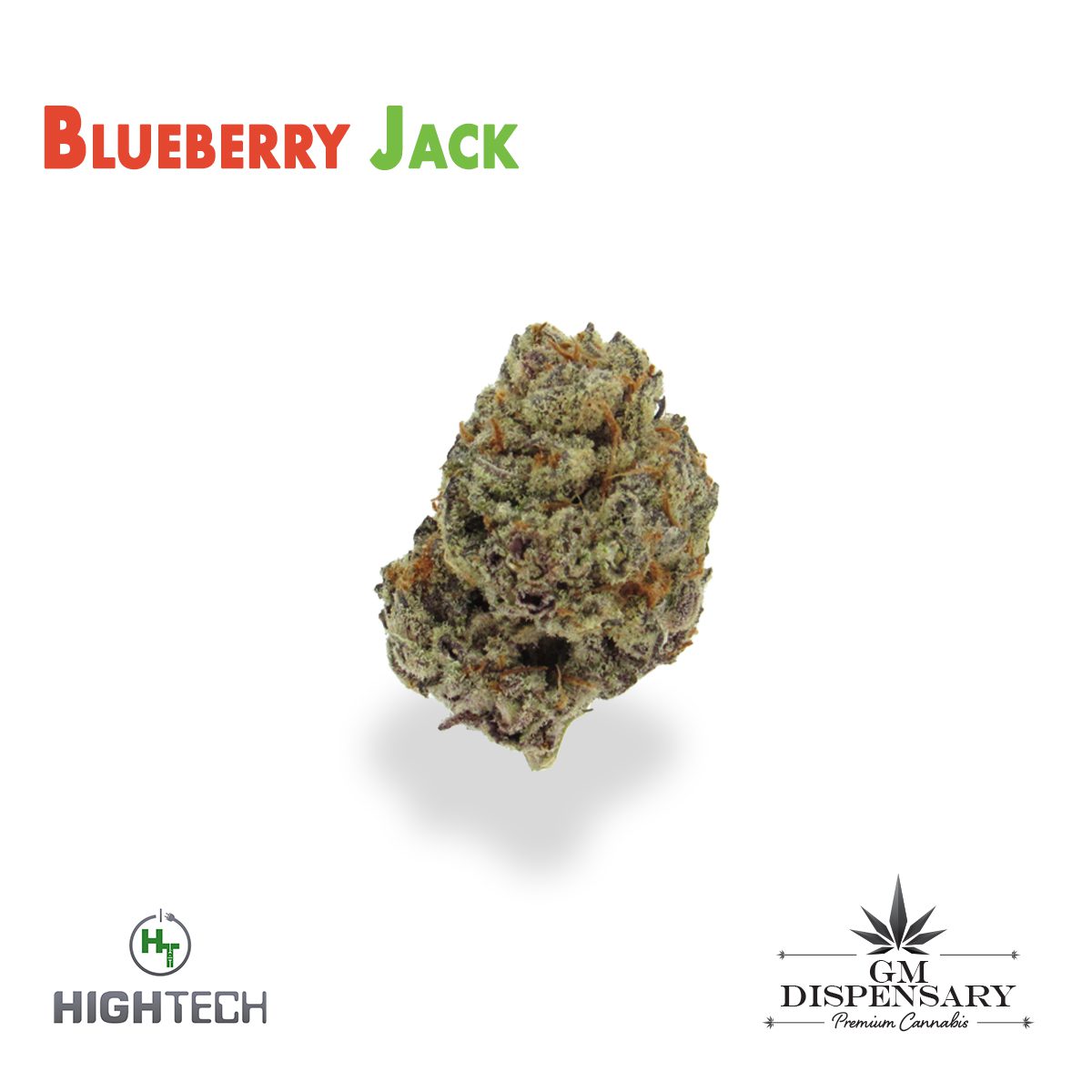 Blueberry Jack by High Tech Farms | Green Mart Beaverton