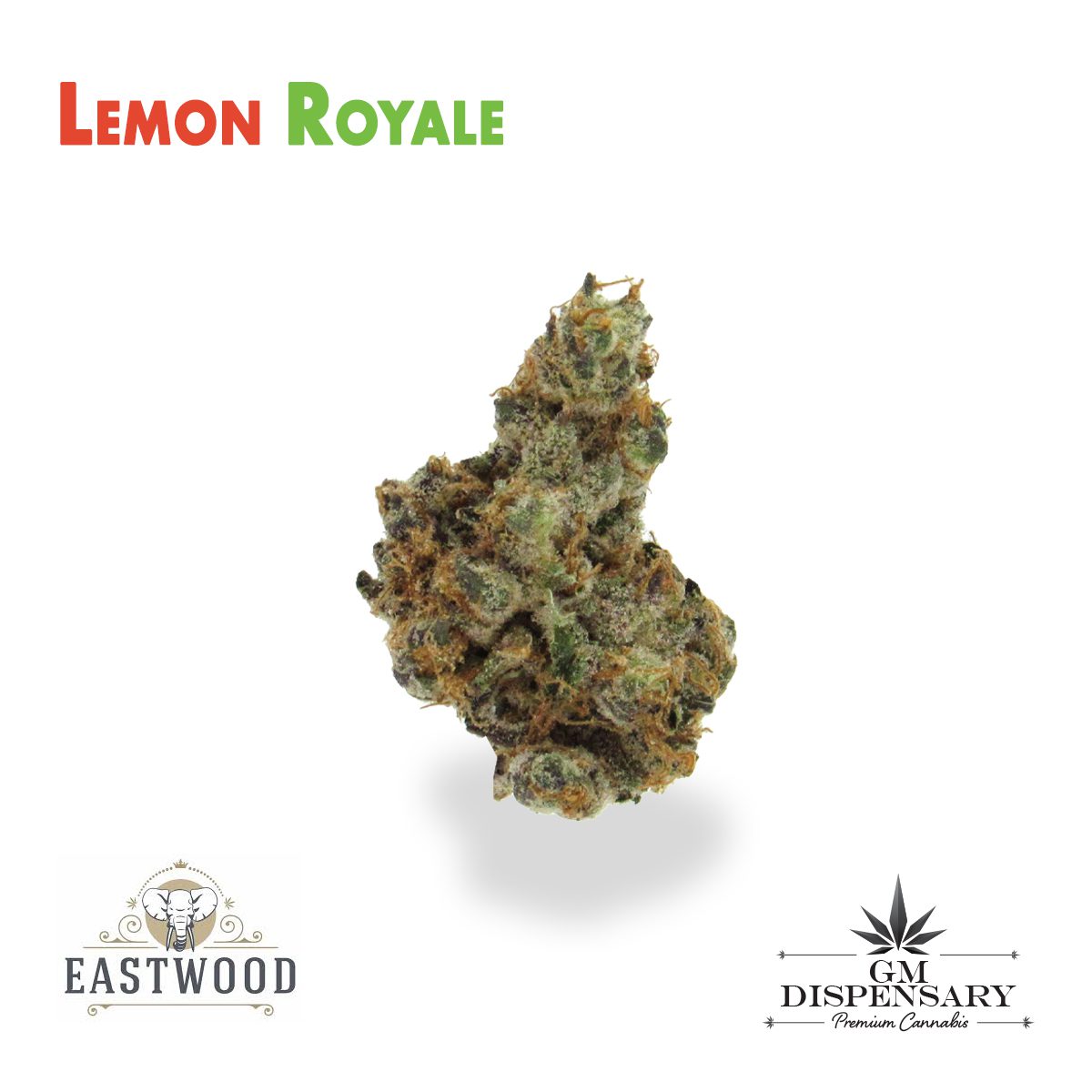 Lemon Royale by Eastwood Gardens | Green Mart Beaverton